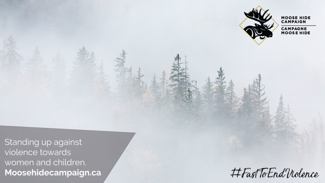 Resources & Downloads | Moose Hide Campaign Education