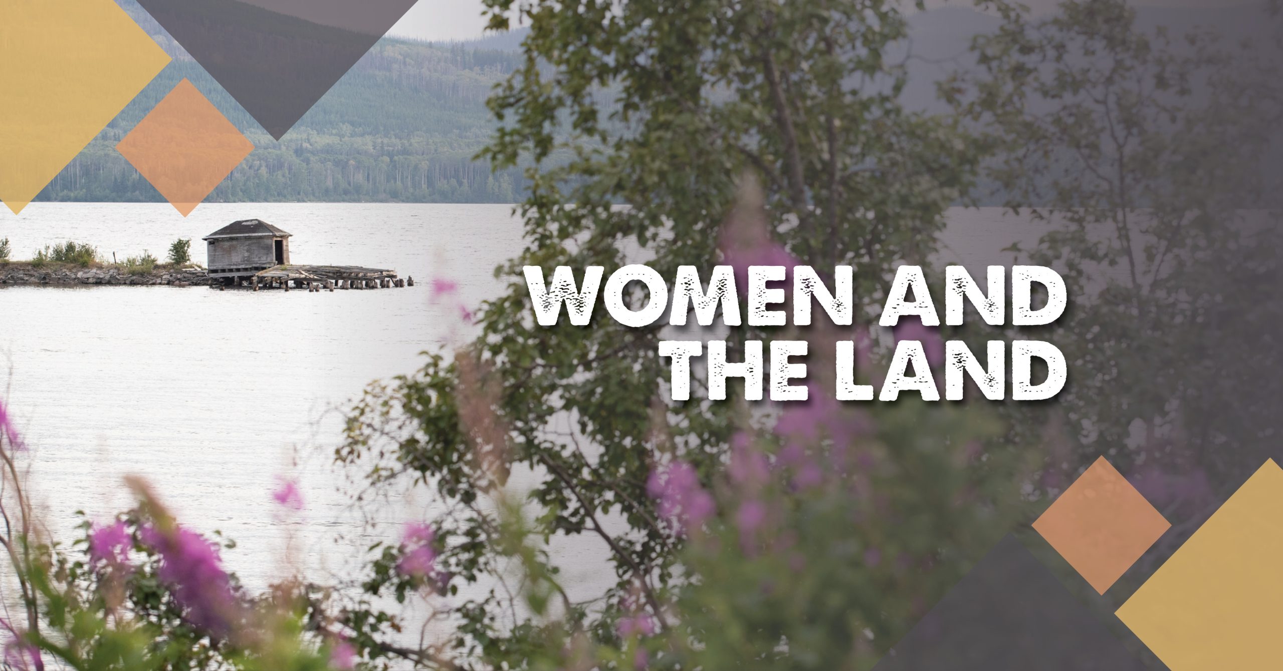 Later Years Lesson Plans | Moose Hide Campaign Education